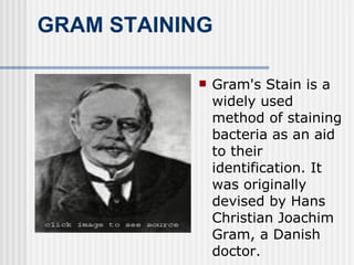 Revised Gram Staining | PPT