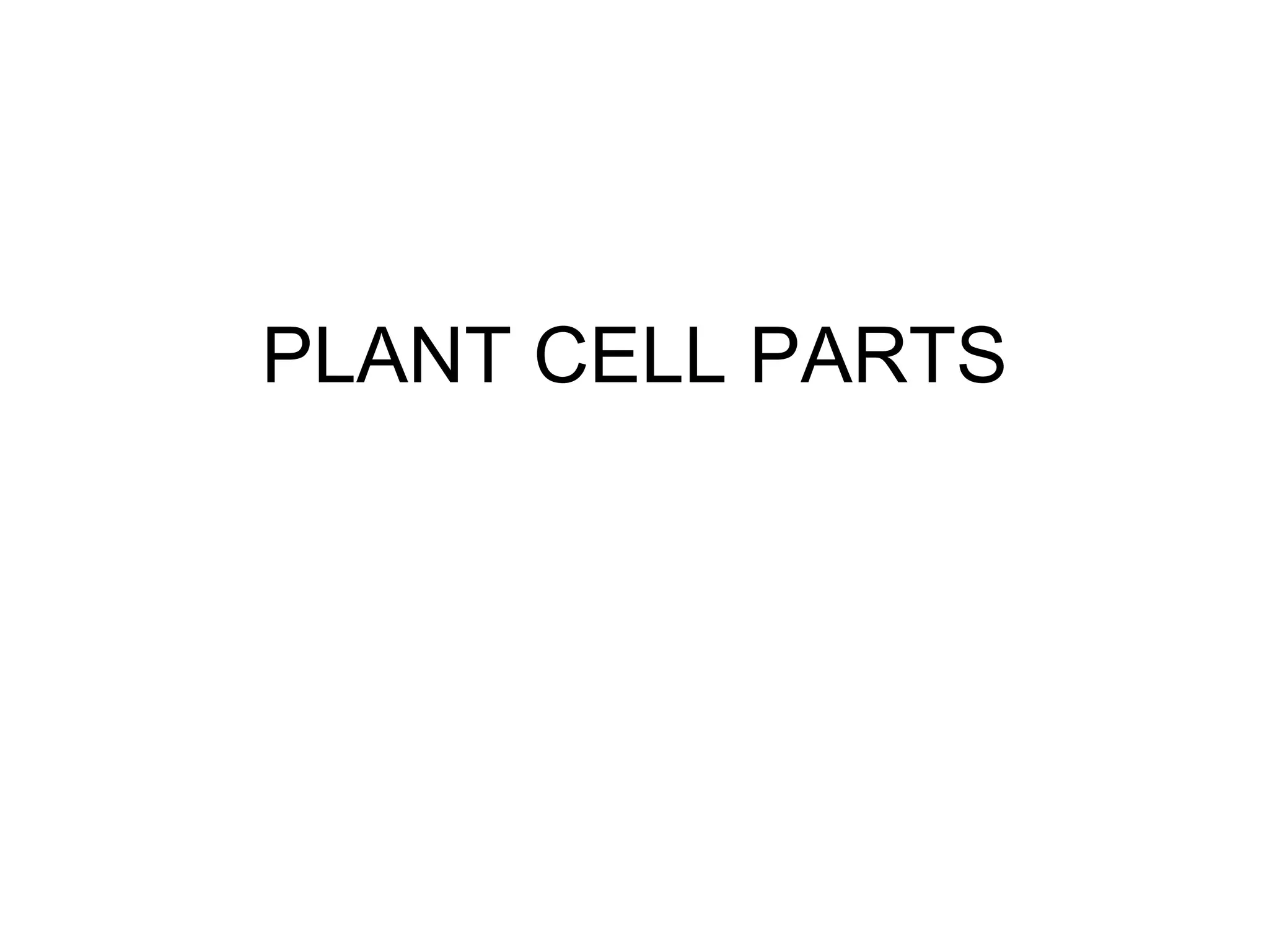 Revised Plant Cell Parts | PPT