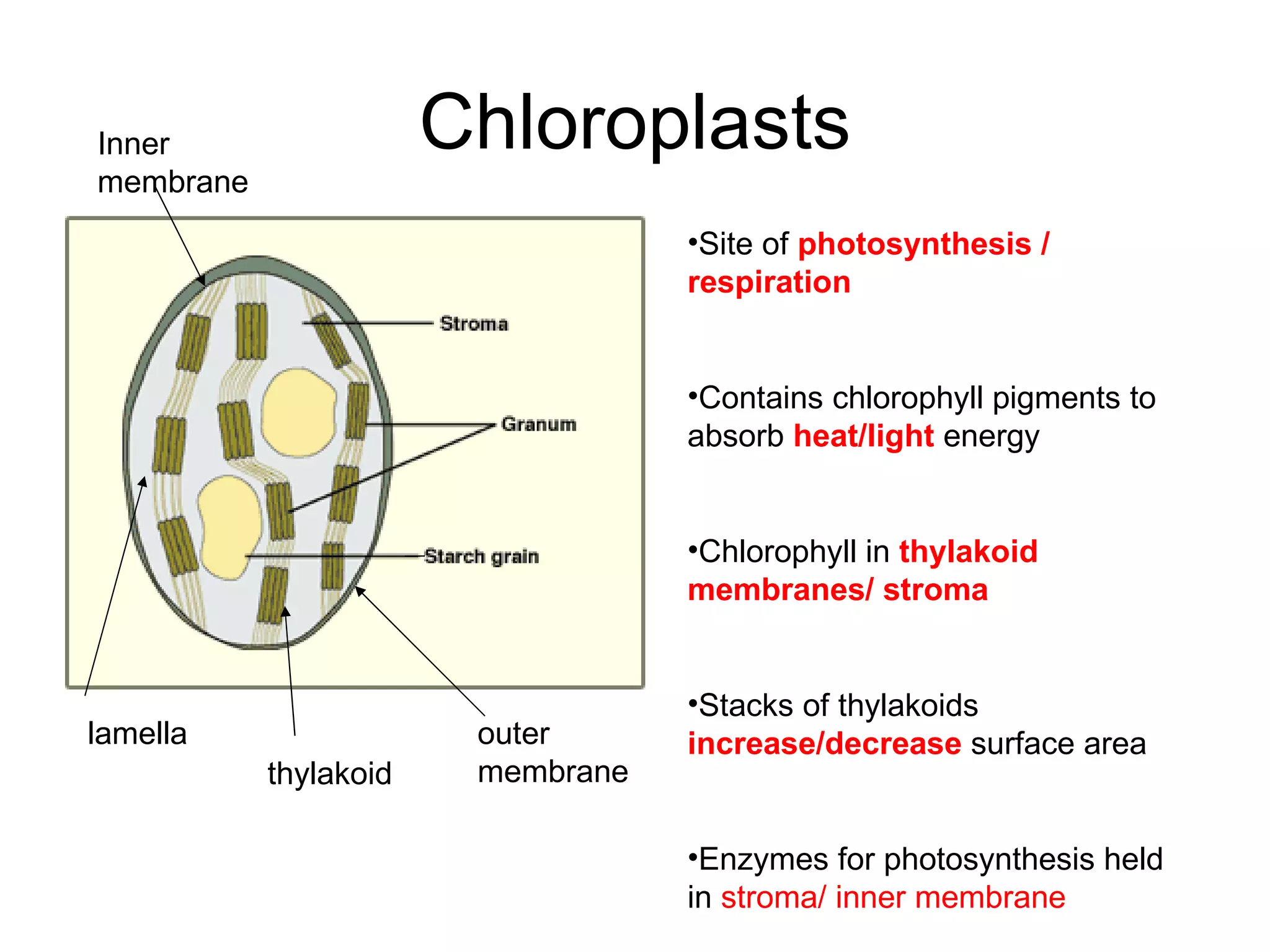 Revised Plant Cell Parts | PPT