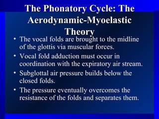 Revised review of phonatory physiology | PPT