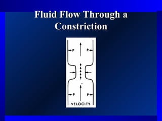Revised review of phonatory physiology | PPT