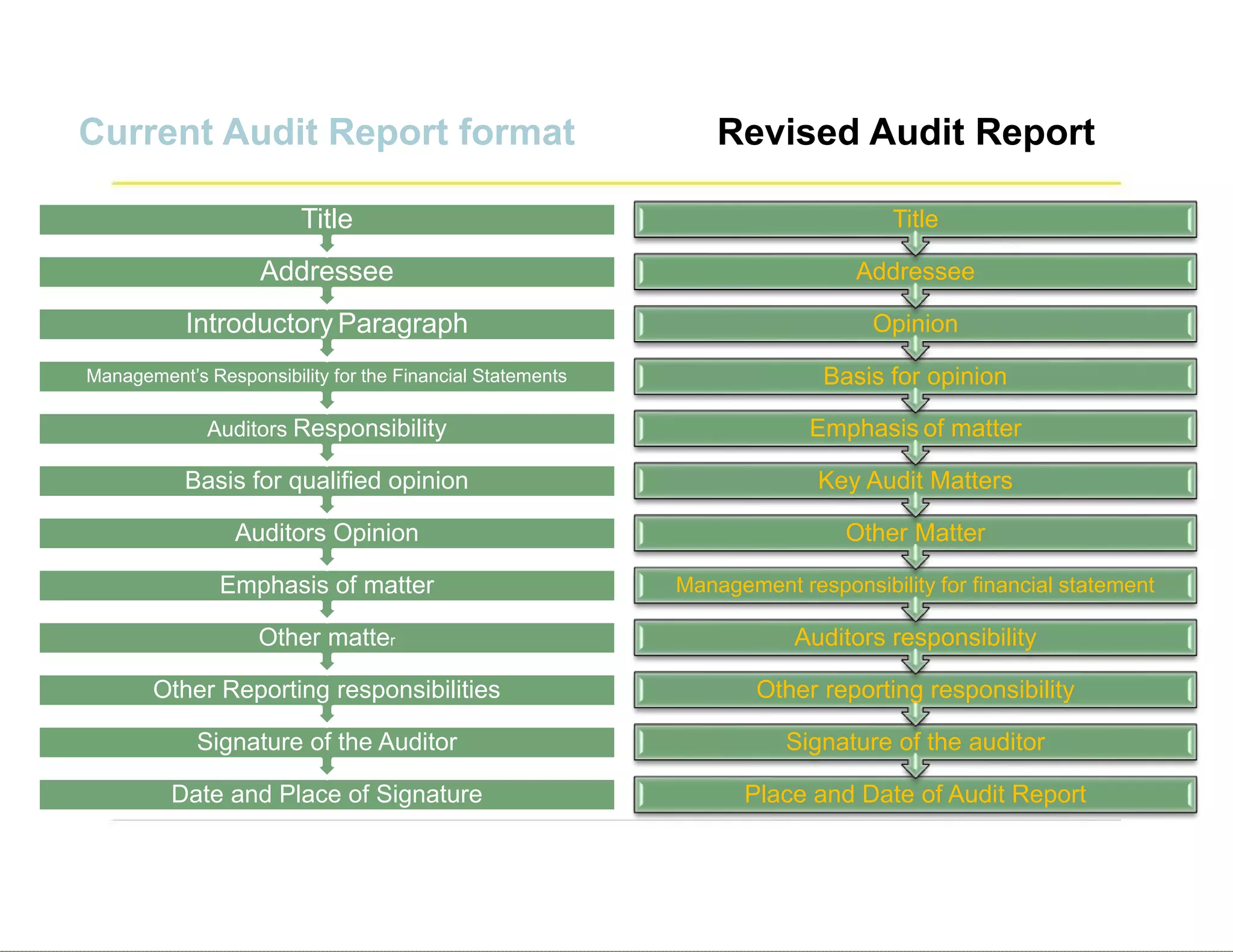 Revised Audit Report Format | PPTX