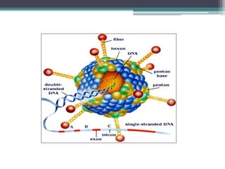 Revised biosolids ppt | PPTX