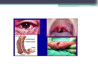 Revised biosolids ppt | PPTX