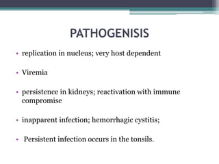 Revised biosolids ppt | PPTX