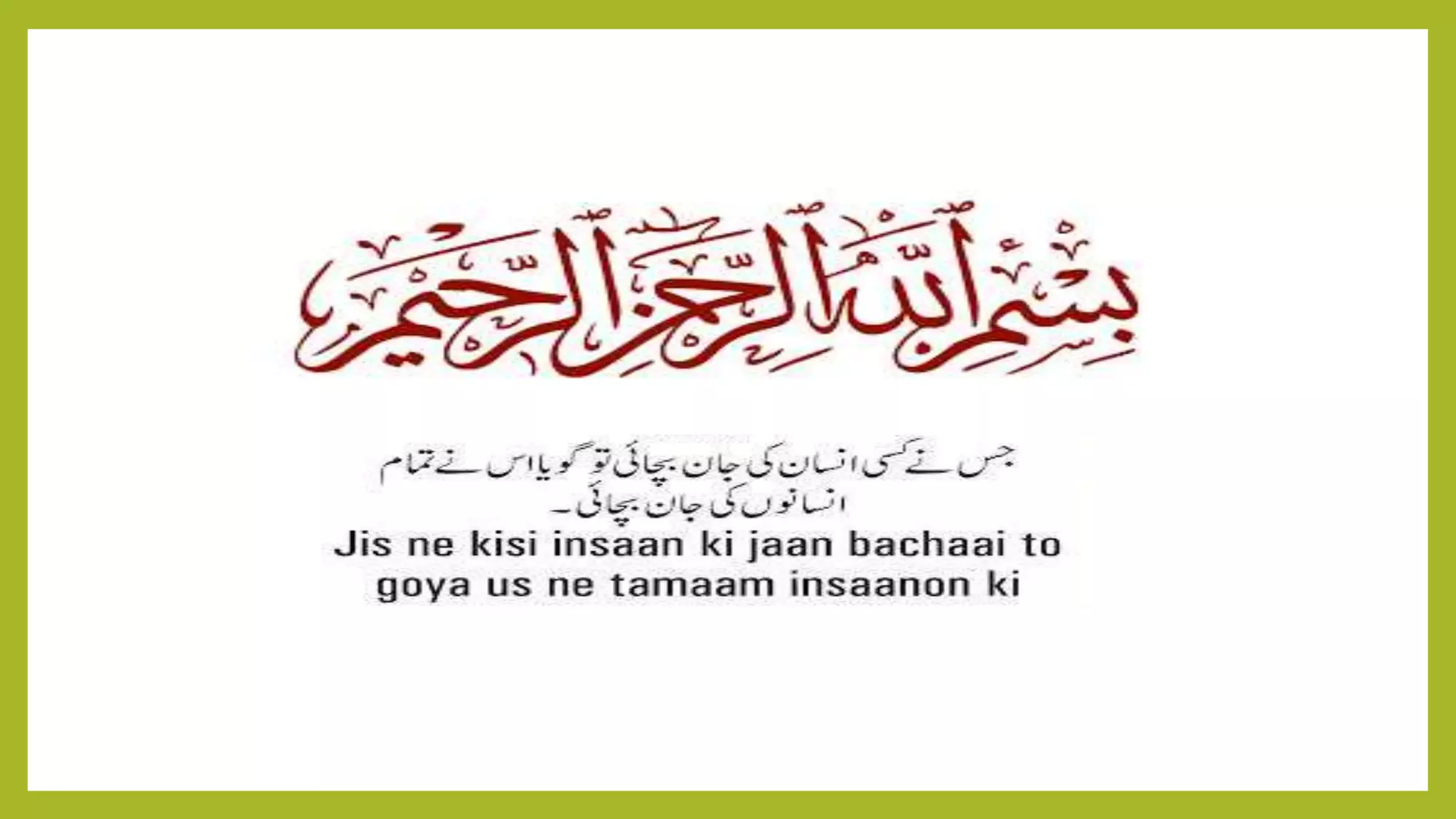 REVISED BLS PPT.pptx