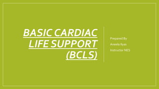 REVISED BLS PPT.pptx