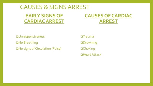REVISED BLS PPT.pptx