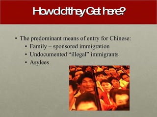 Revised chinese immigration | PPT