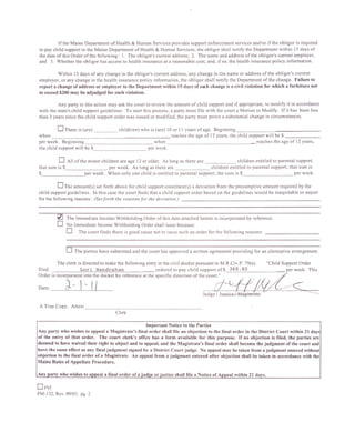 Revised custody & support | PDF