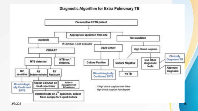Revised definitions of tb cases and management as per ntep | PPTX