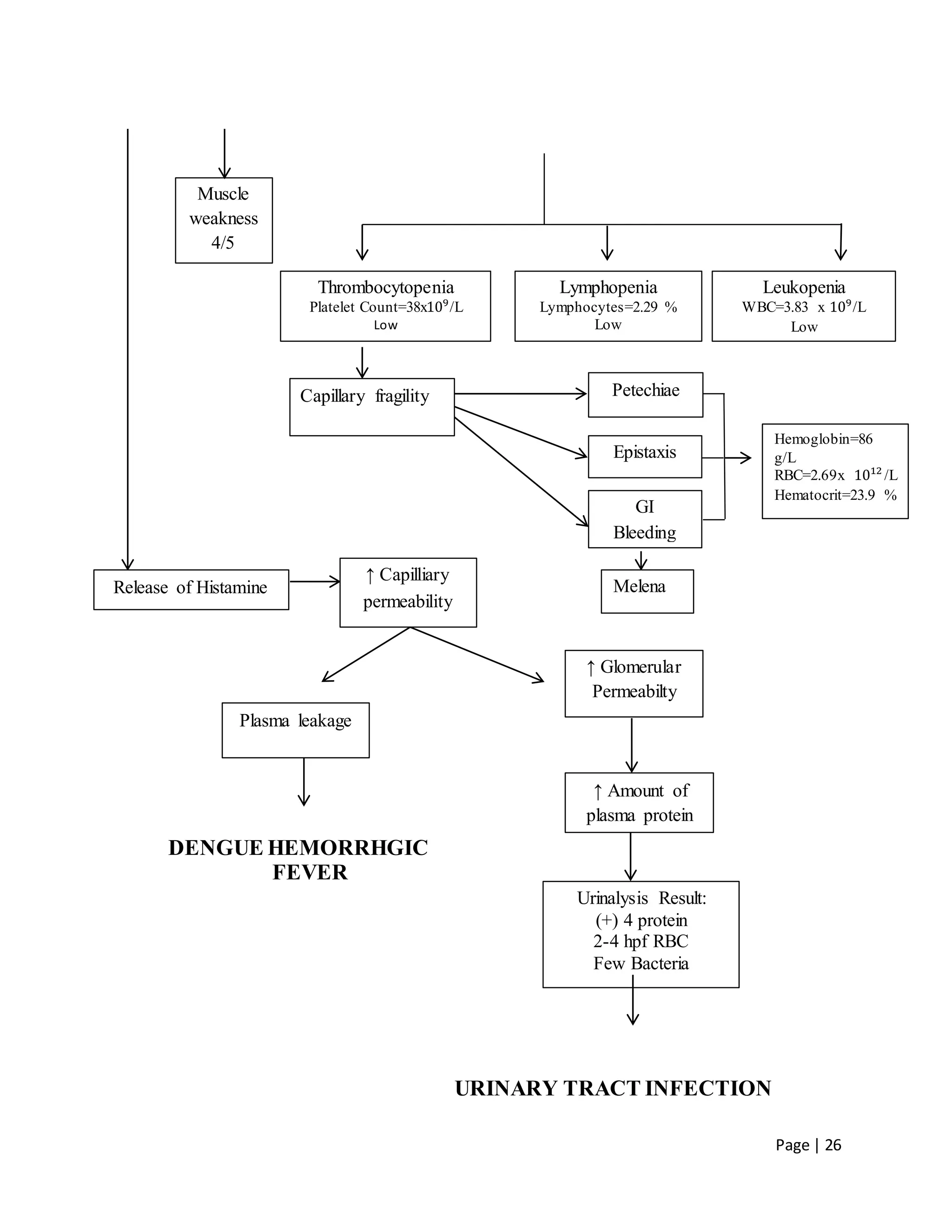 Dengue Hemorrhagic Fever- Case Study | DOCX