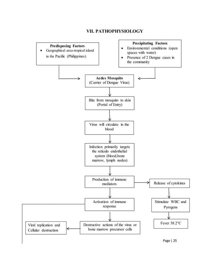 Dengue Hemorrhagic Fever- Case Study | DOCX | Infectious Diseases ...