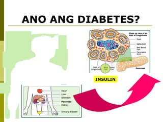Revised diabetes education modules | PPT