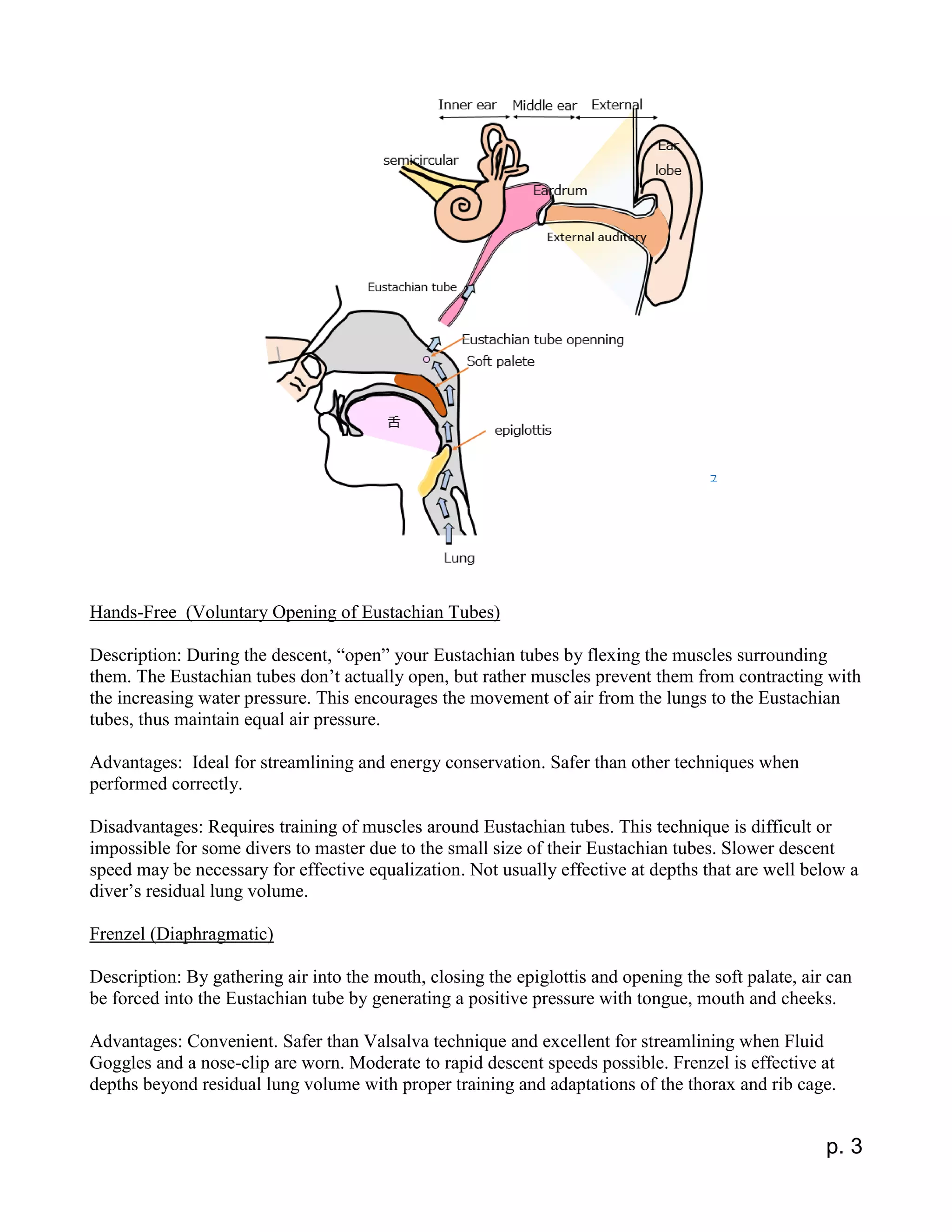 Illustrated Frenzel maneuver --How to Equalize Ear Pressure | PDF