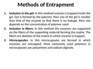 Revised Enzyme Immobilization , biochemistry presentation | PPTX