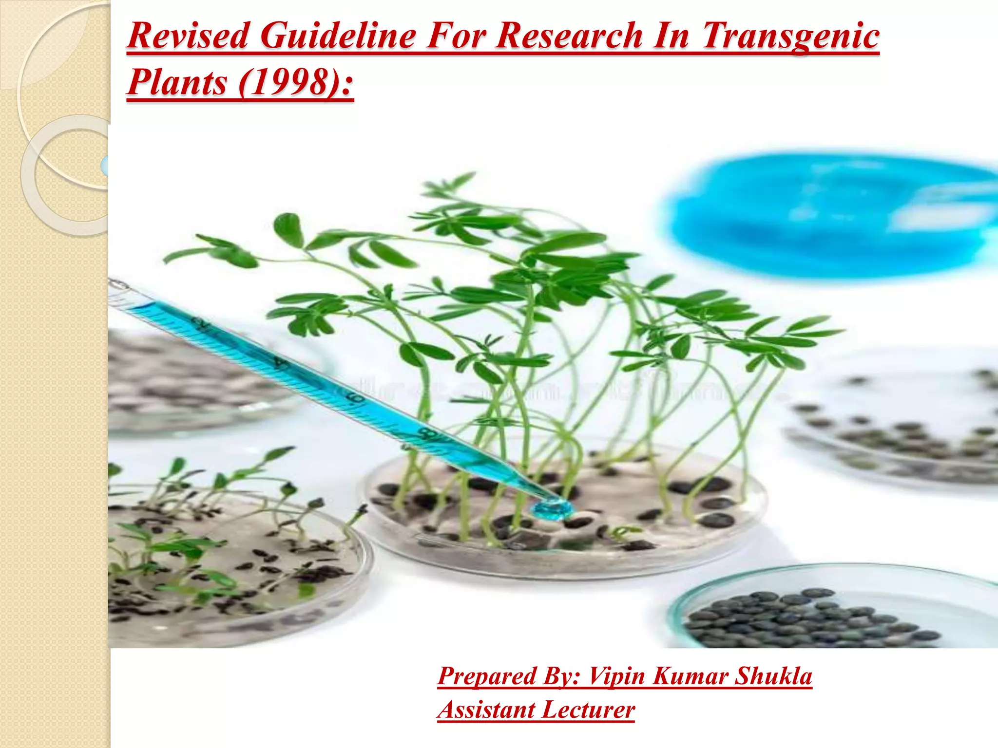 Revised guideline for research in transgenic plants ( | PPTX