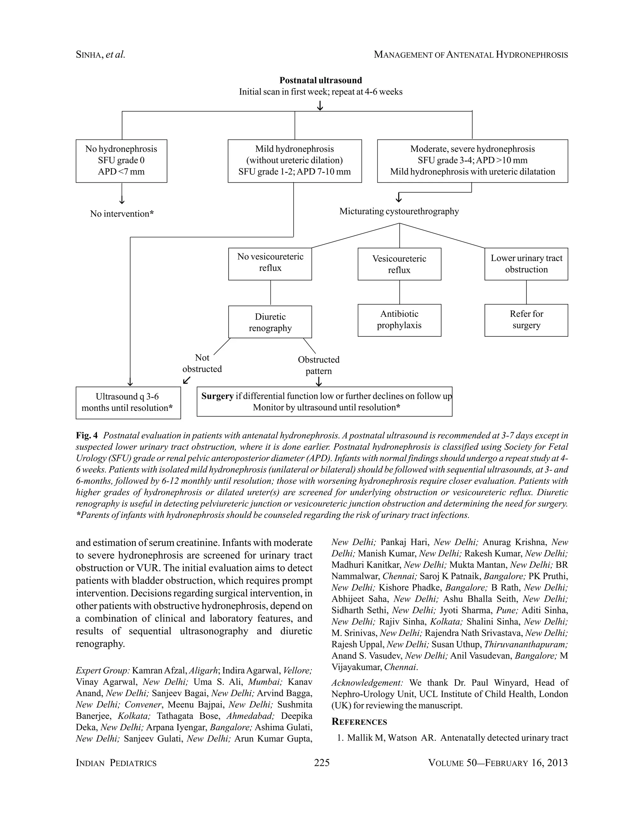Revised guidelines for management of antenatal hydronephrosis feb 2013 | PDF