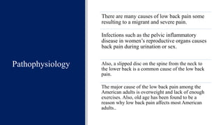 Differential Diagnosis of Lower Back Pain | PPTX
