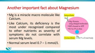 Role of Magnesium in Pregnancy Dr Dipti Nabh Dr Sharda Jain Dr Jyoti ...