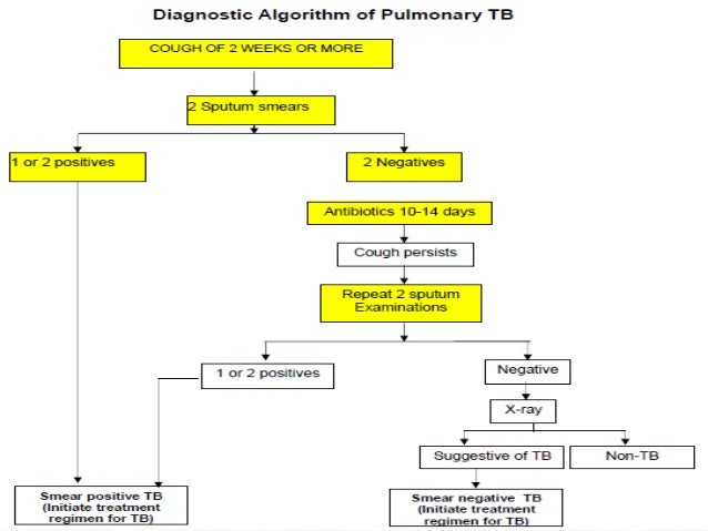 Revised national tuberculosis control programme – Sai Swaroop