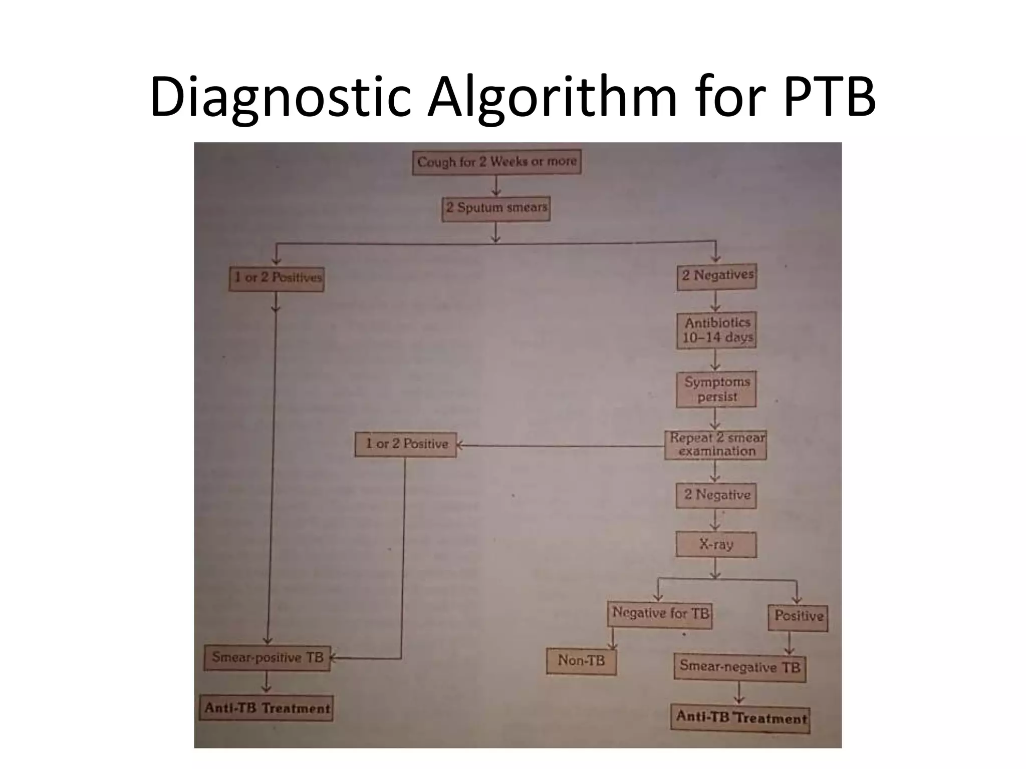Revised national tuberculosis control programme | PPTX