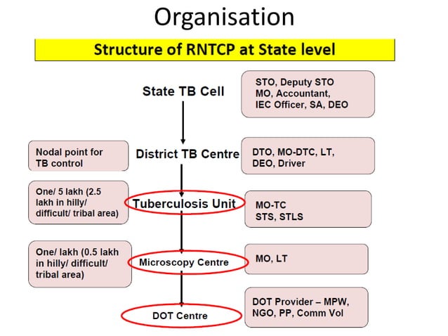 Revised national tuberculosis control programme | PPTX