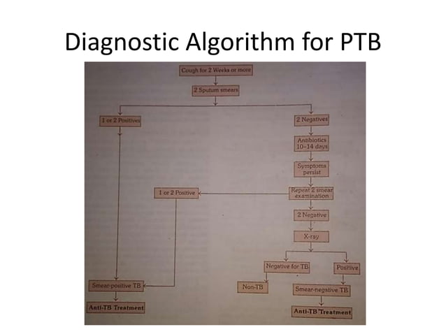 Revised national tuberculosis control programme | PPTX