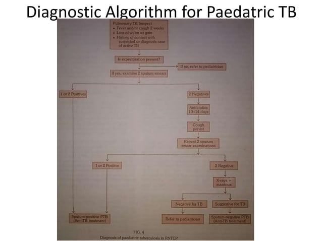 Revised national tuberculosis control programme | PPTX