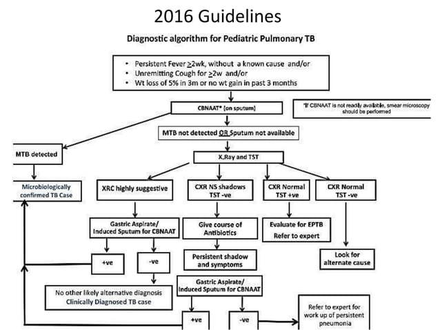 Revised national tuberculosis control programme | PPTX