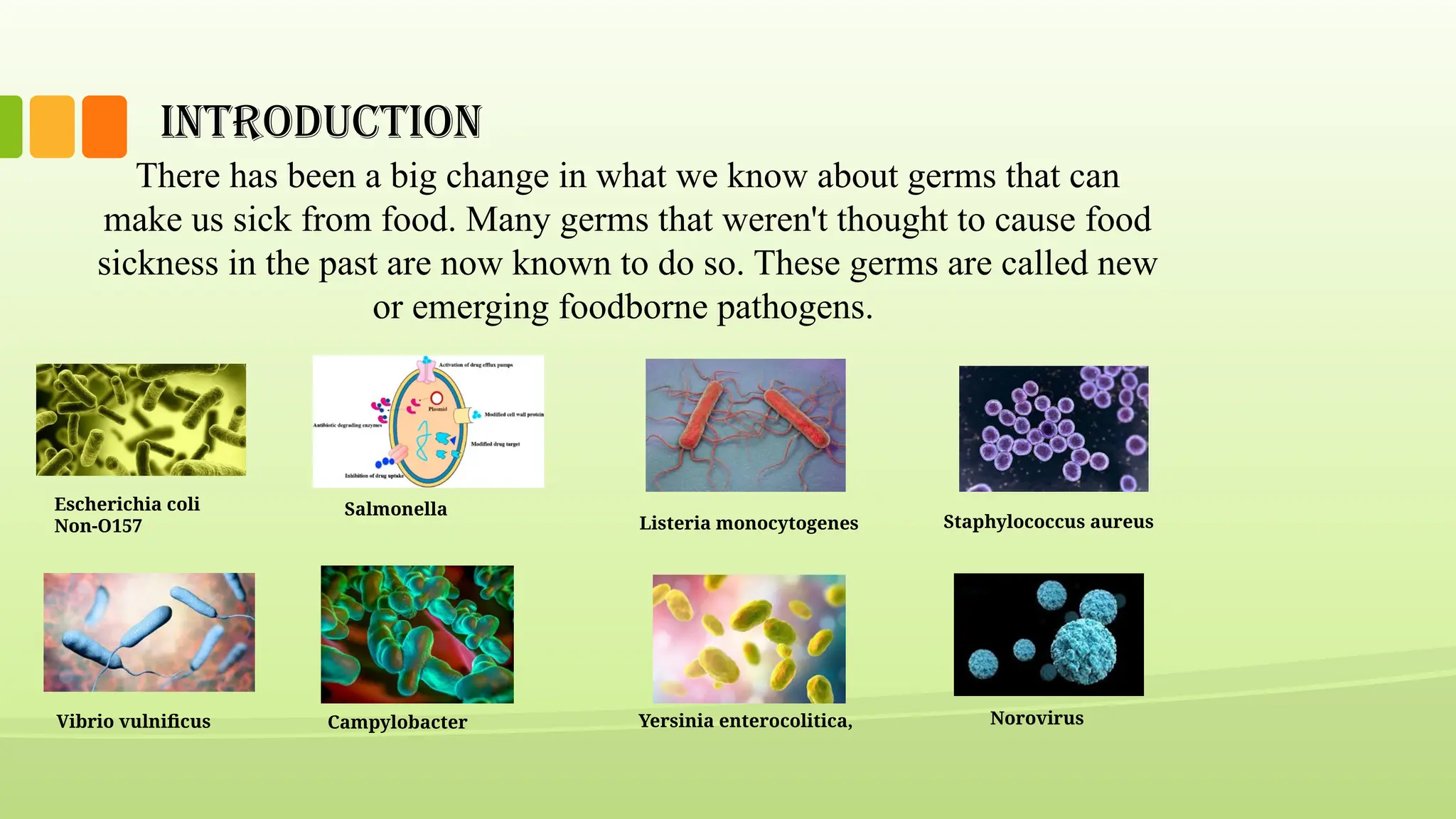 Revised New and emerging foodborne pathogens.pptx
