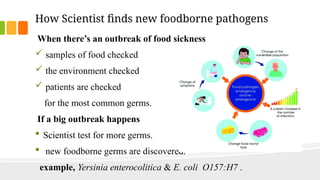 Revised New and emerging foodborne pathogens.pptx