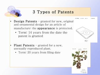 Patents 101: How to Do a Patent Search | PPT