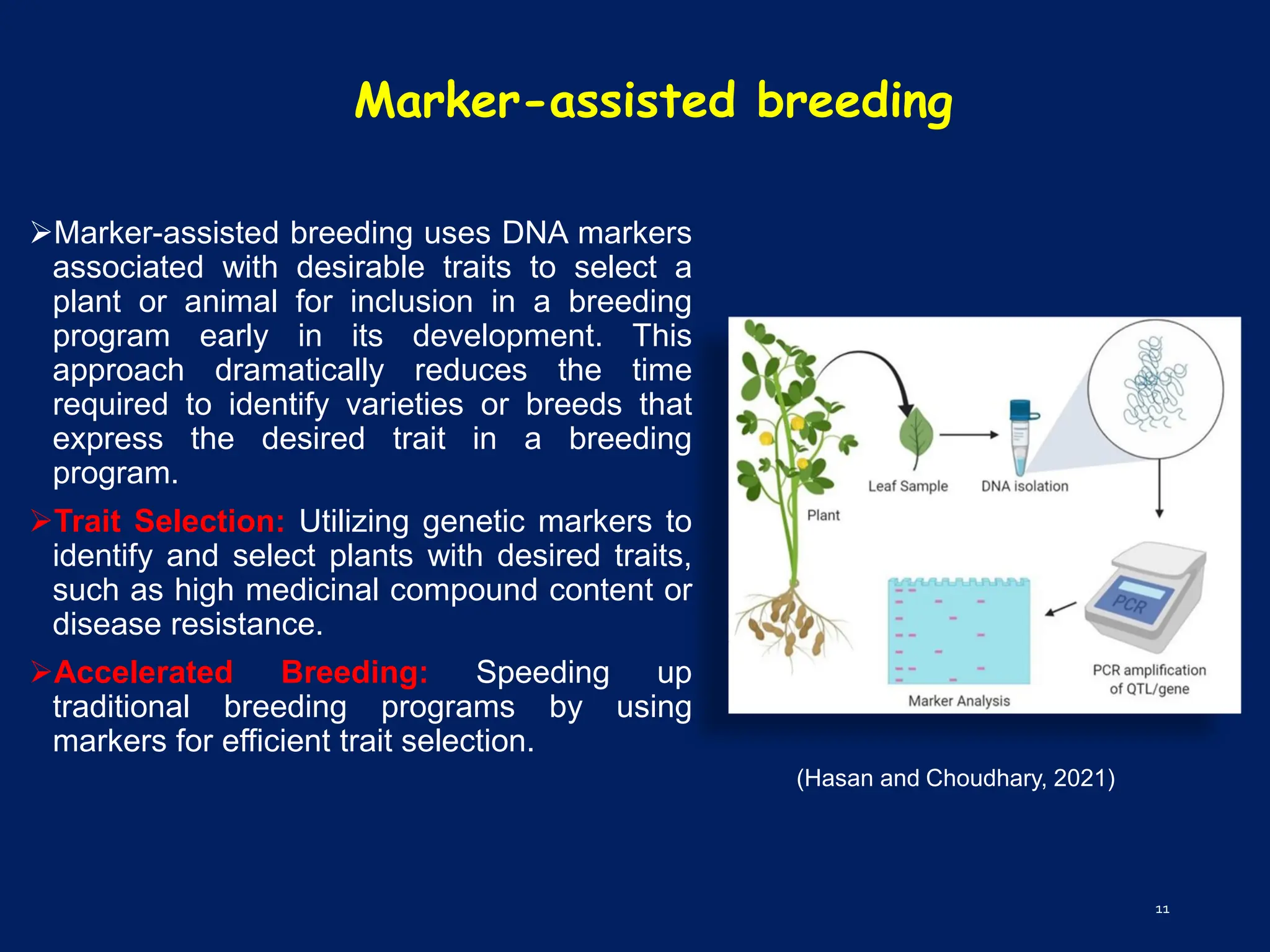 Revised PPT on Application of Genetics in Medicinal Plants... (1).pdf