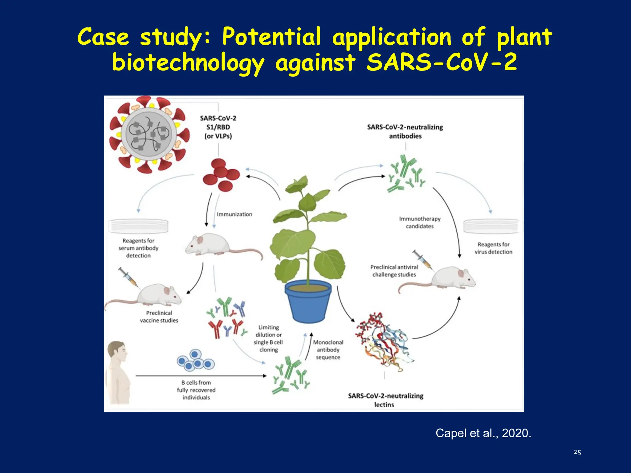 Revised PPT on Application of Genetics in Medicinal Plants... (1).pdf