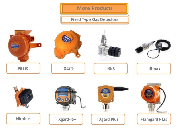 Portable Gas Detector