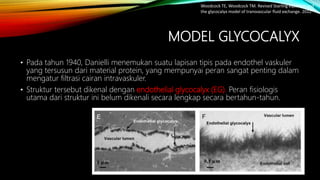 Revised Starling Equation and The Endothelial Glycocalyx (snf_akbar) | PPT