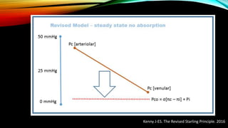 Revised Starling Equation and The Endothelial Glycocalyx (snf_akbar) | PPT