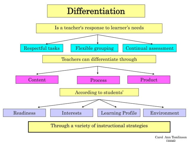 Revised Vicencio Differentiated Instruction.pptx