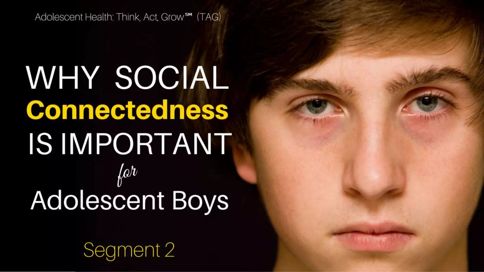 The Crisis of Connection for Adolescent Boys: Segment 2 | PPTX