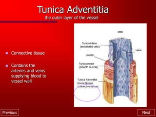 Revised_web_IV_therapy.ppt