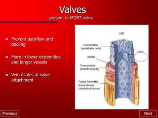 Revised_web_IV_therapy.ppt