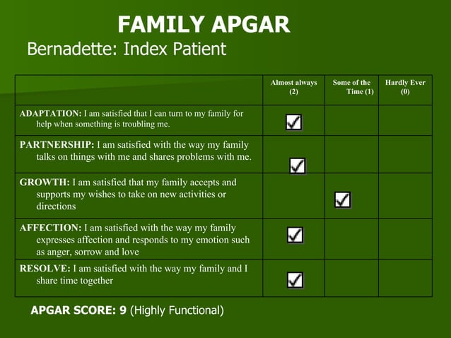 Revise Family Case Presentation Final | PPT