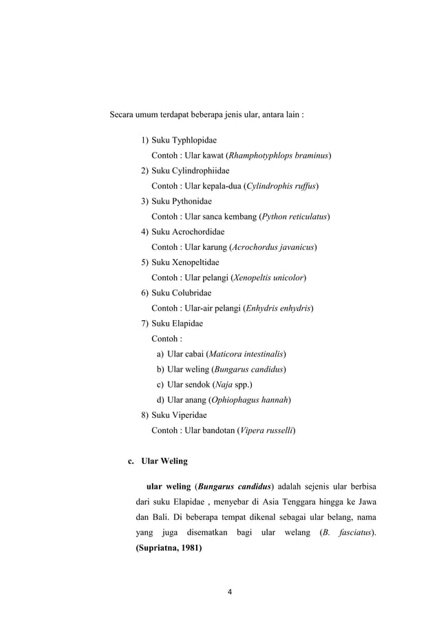 KARYA ILMIAH ULAR SUCI (Bungarus candidus) SEBAGAI DAYA TARIK WISATA DI ...