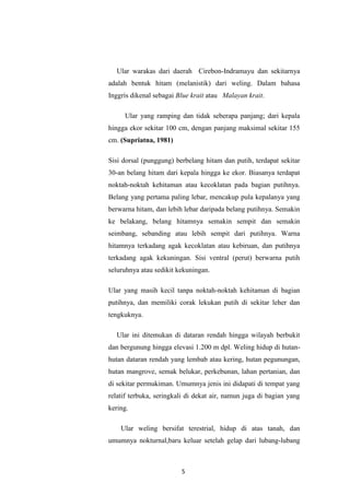 KARYA ILMIAH ULAR SUCI (Bungarus candidus) SEBAGAI DAYA TARIK WISATA DI ...