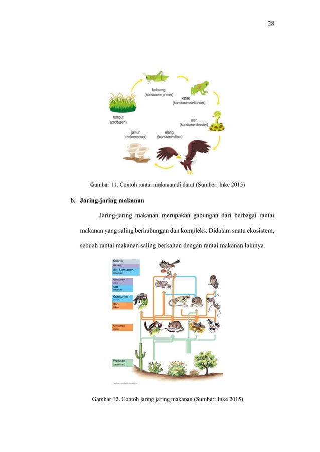 perkembangan ekosistempendidikan biologi | PDF