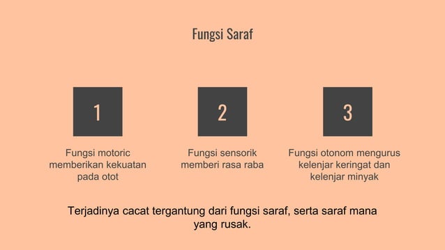 REVISI 2 KECACATAN DAN PENCEGAHAN KUSTA | PPTX