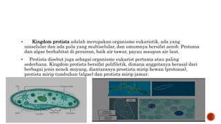 BIOSISMATIKAptx | PPTX