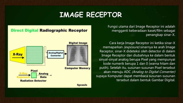 PPT Digital Radiography | PPTX