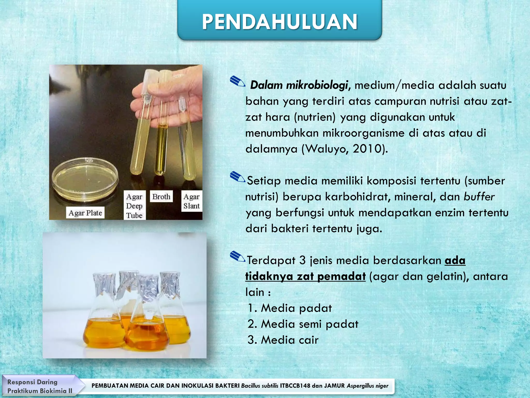 PEMBUATAN MEDIA CAIR & INOKULASI BAKTERI Bacillus Subtilis ITBCCB148 ...